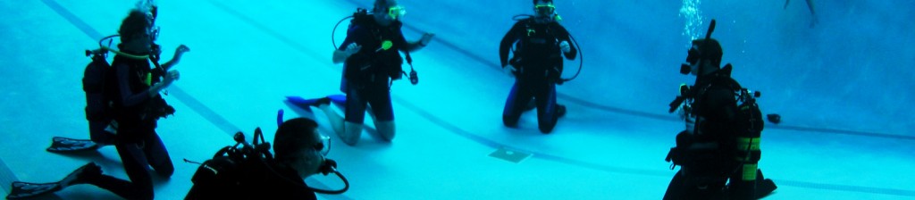 Courses | Natlus Divers